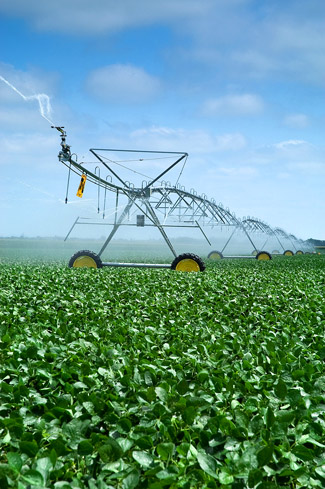 More Uptime & Reliability with T-L Pivot Irrigation Systems | Hoppe ...